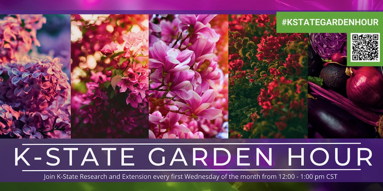 K State Garden Hour